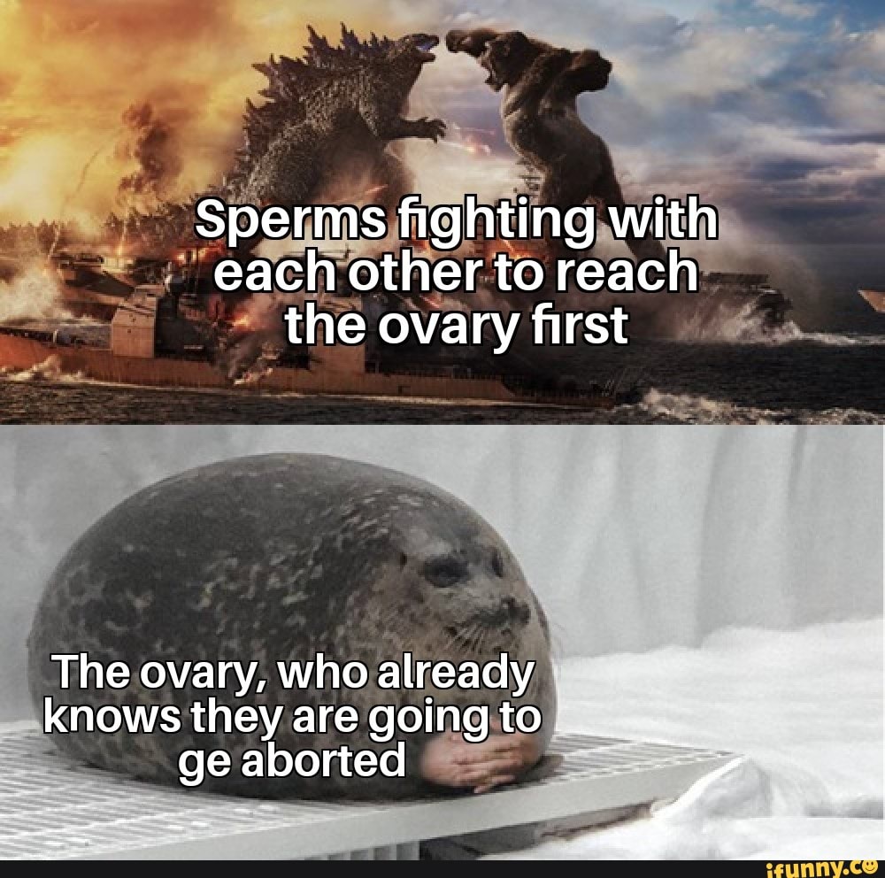 Ovaries Meme