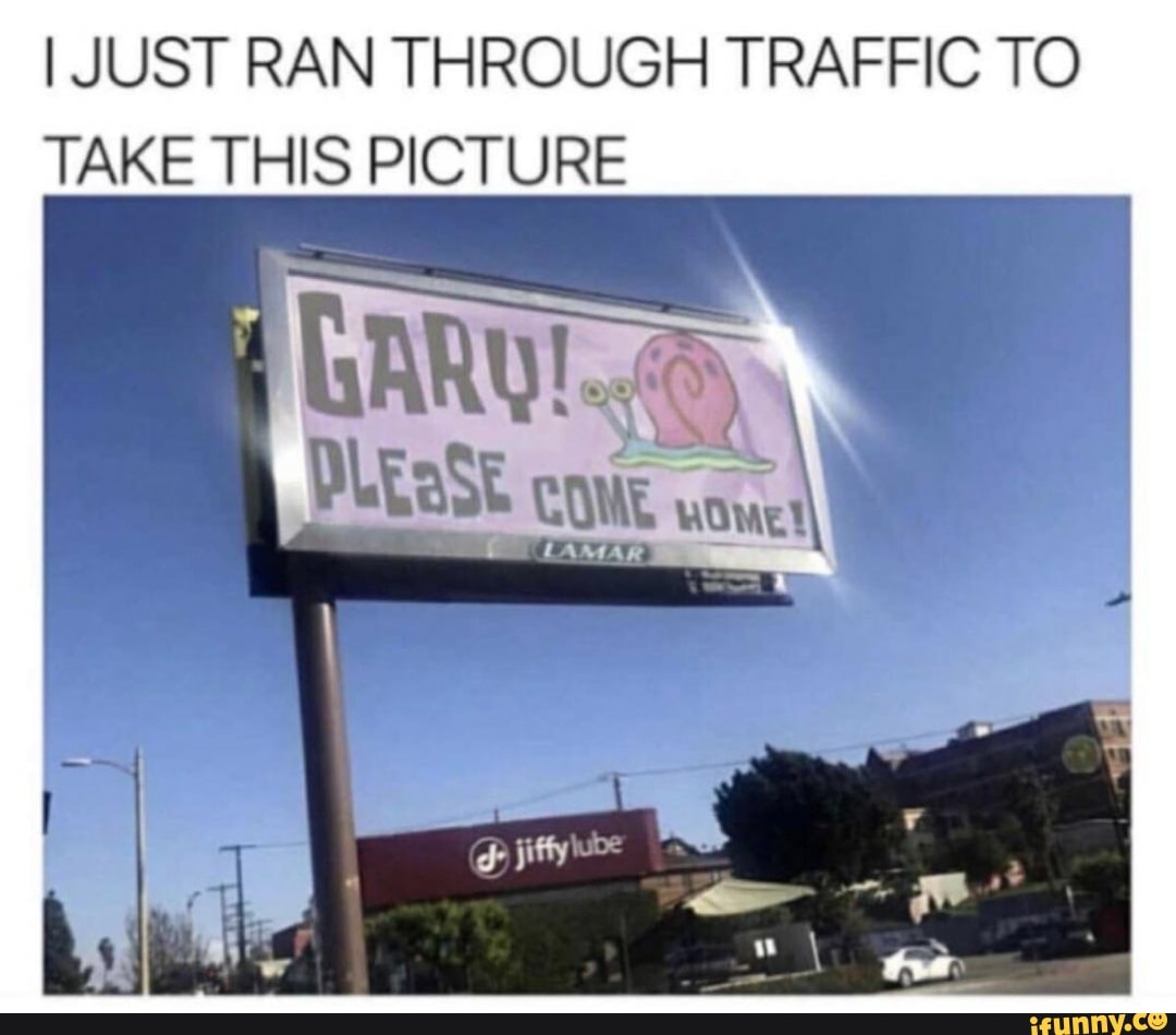 I JUST RAN THROUGH TRAFFIC TO TAKE THIS PICTURE - iFunny