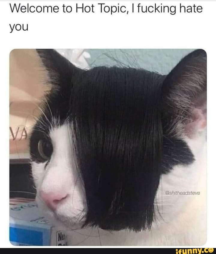 Welcome to Hot Topic, I fucking hate you - iFunny