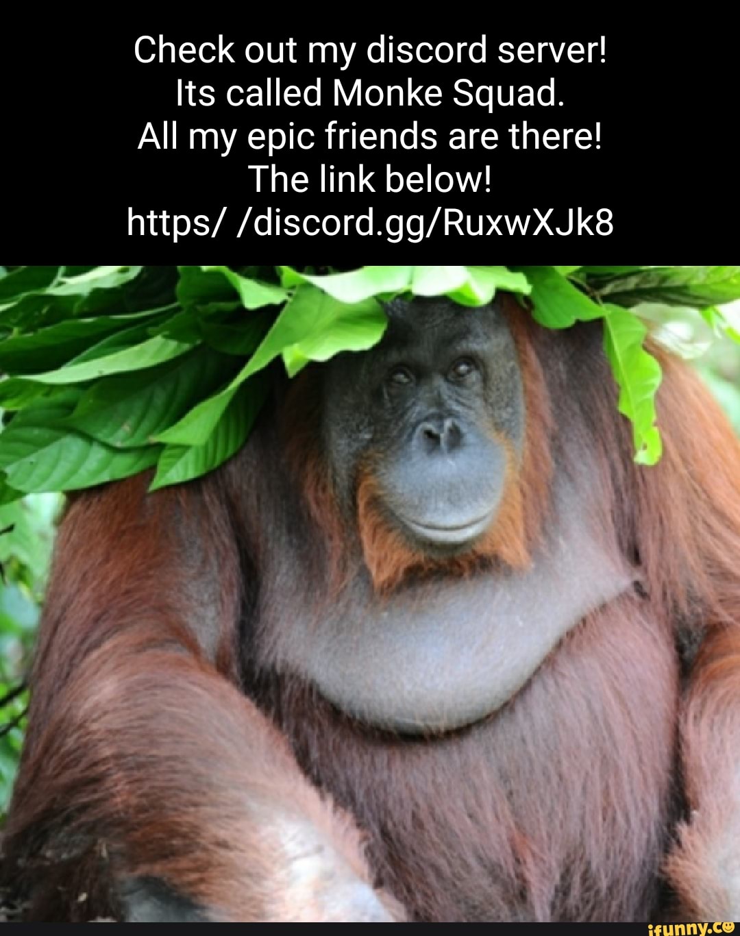 Check out my discord server! Its called Monke Squad. All my epic ...