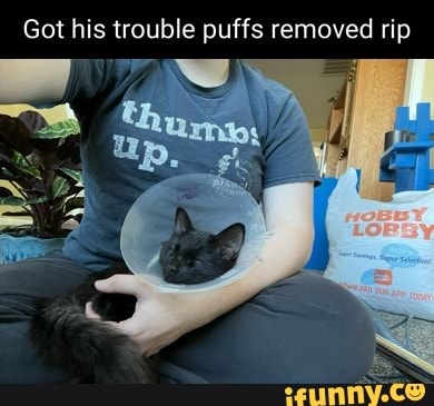 Got his trouble puffs removed rip thus, Up, - iFunny