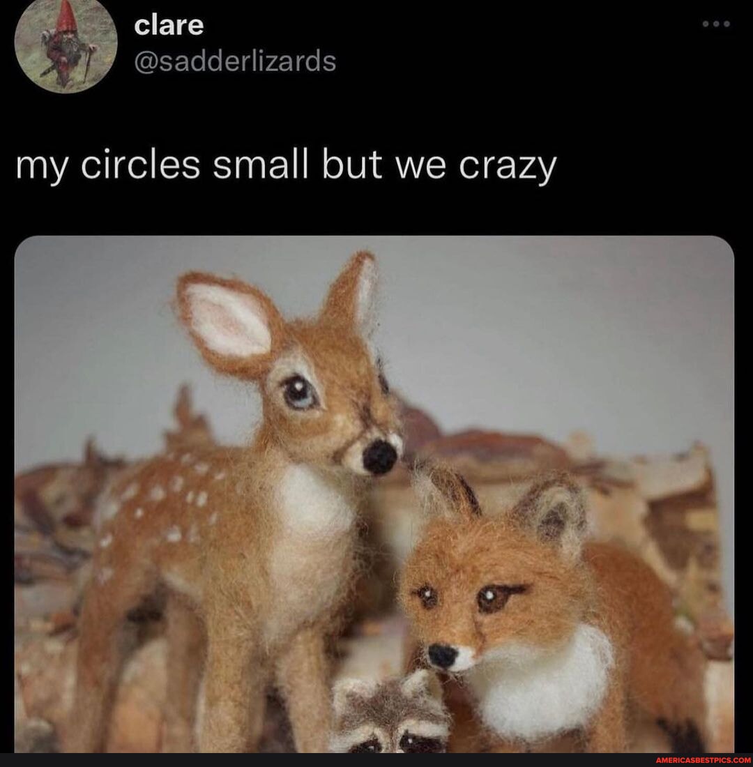 They’re so cute - clare @sadderlizards my circles small but we crazy Pd ...