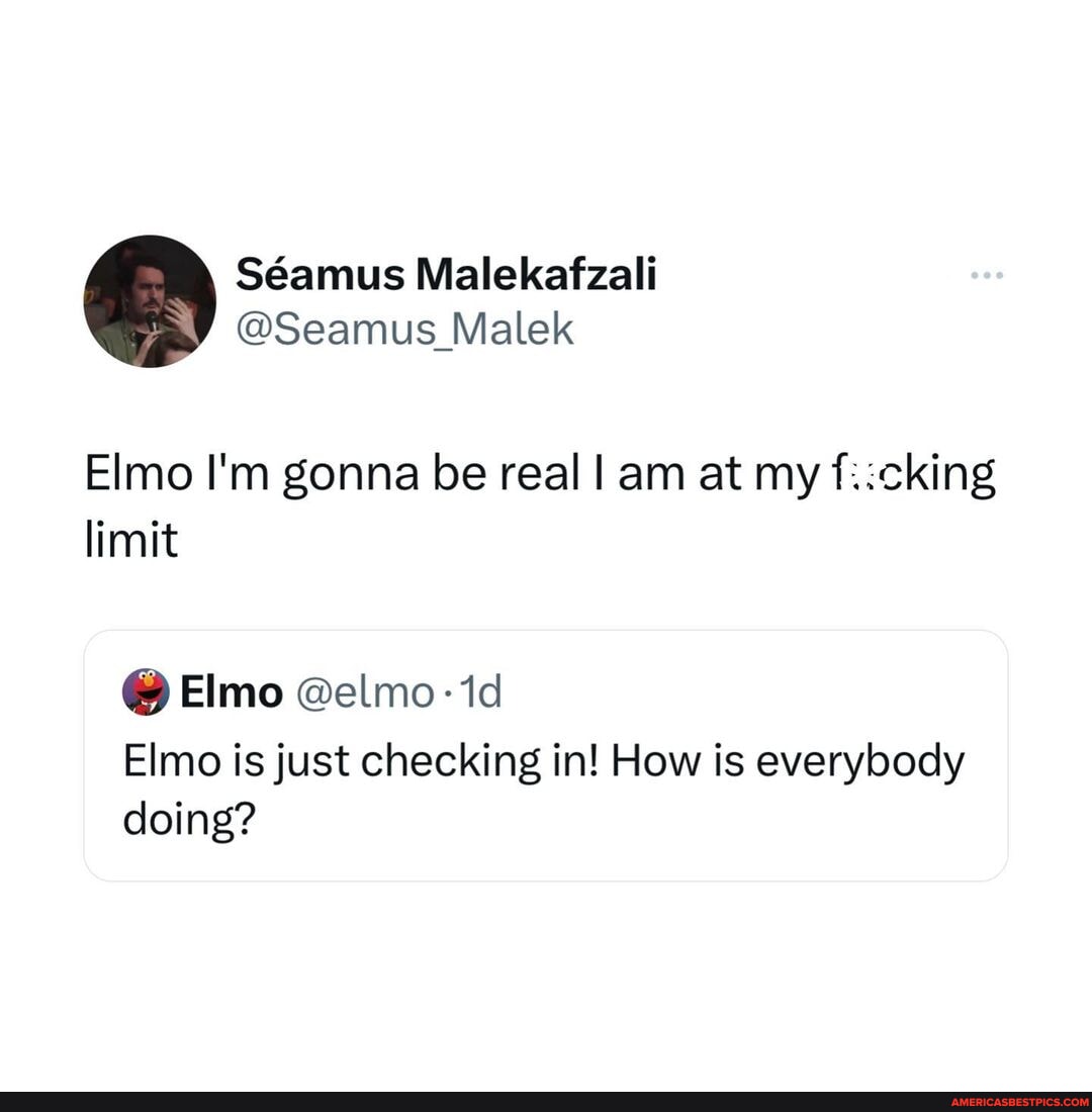 Memezar just checking in! How is everybody doing? 👇 - Samus Malekafzali ...