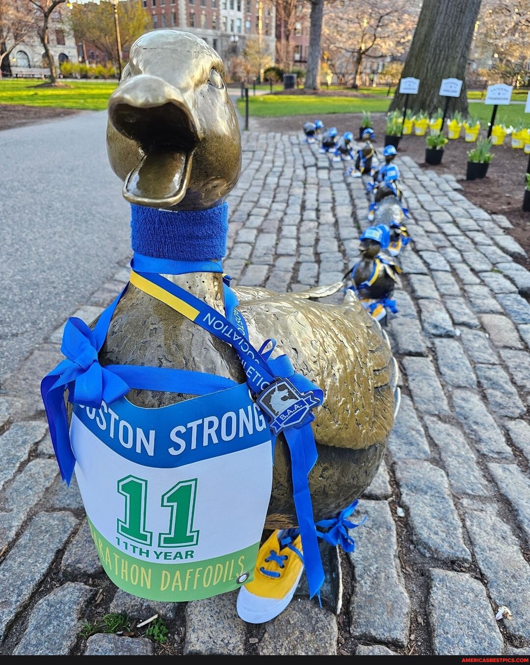 Make Way for the Boston Marathon. 💙💛 - America’s best pics and videos