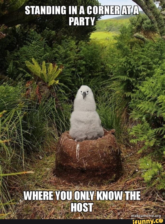 When you only know the host of a party. #Introvertlife - STANDING IN A ...
