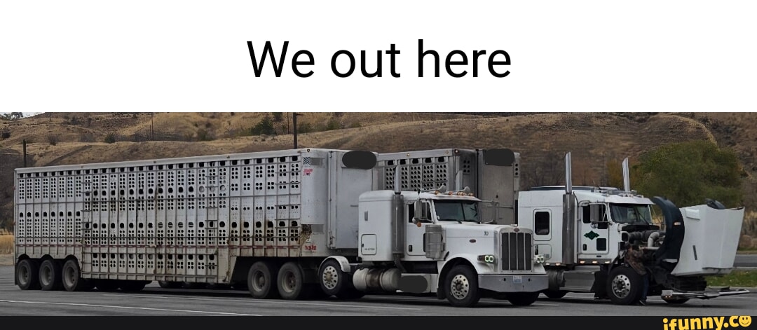 Peterbilt memes. Best Collection of funny Peterbilt pictures on iFunny