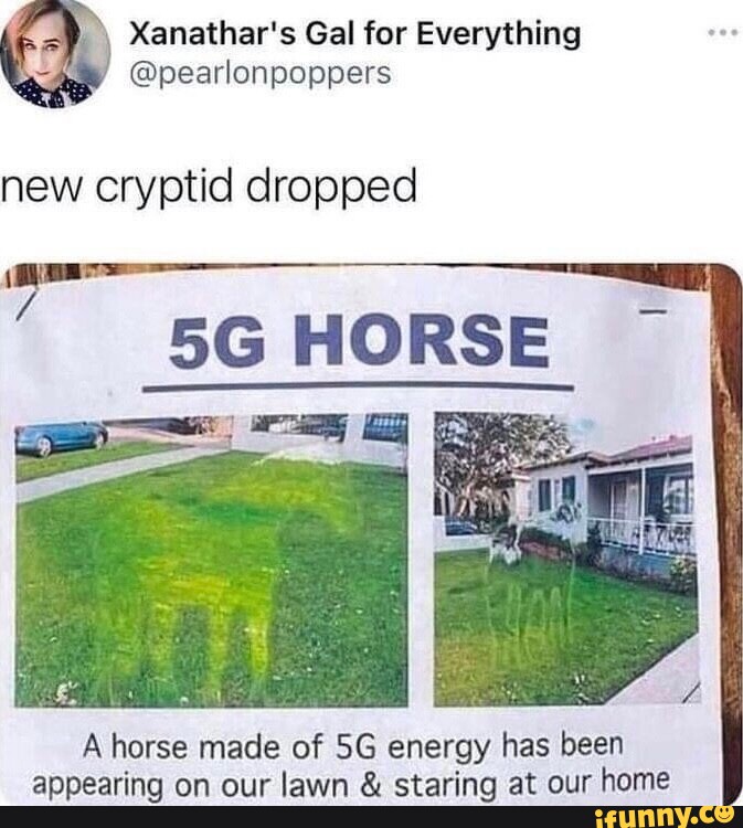 Xanathar's Gal for Everything @pearlonpoppers new cryptid dropped HORSE ...