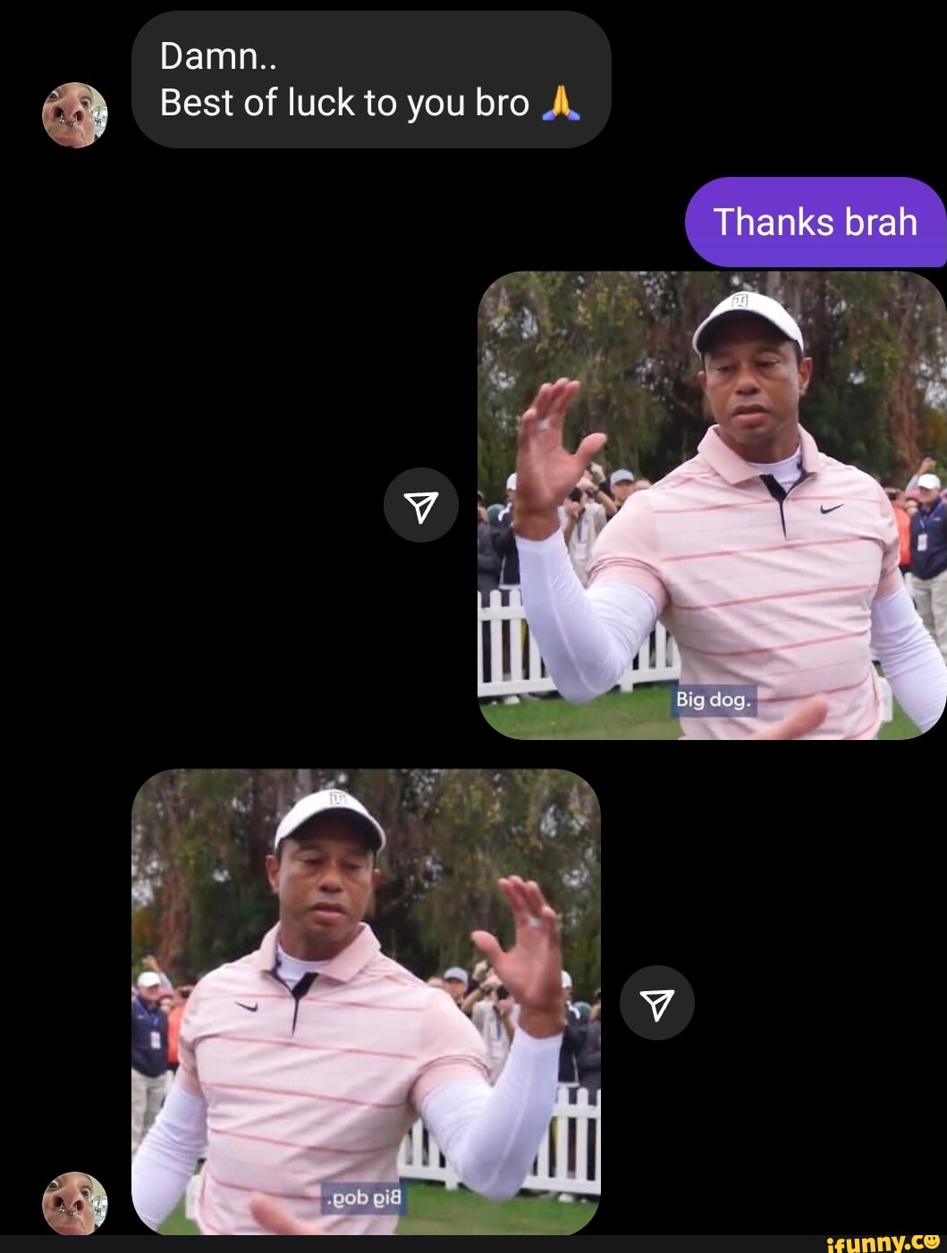 POMNI! DO THAT THING THE AUDIENCE LOVES SO MUCH! - iFunny