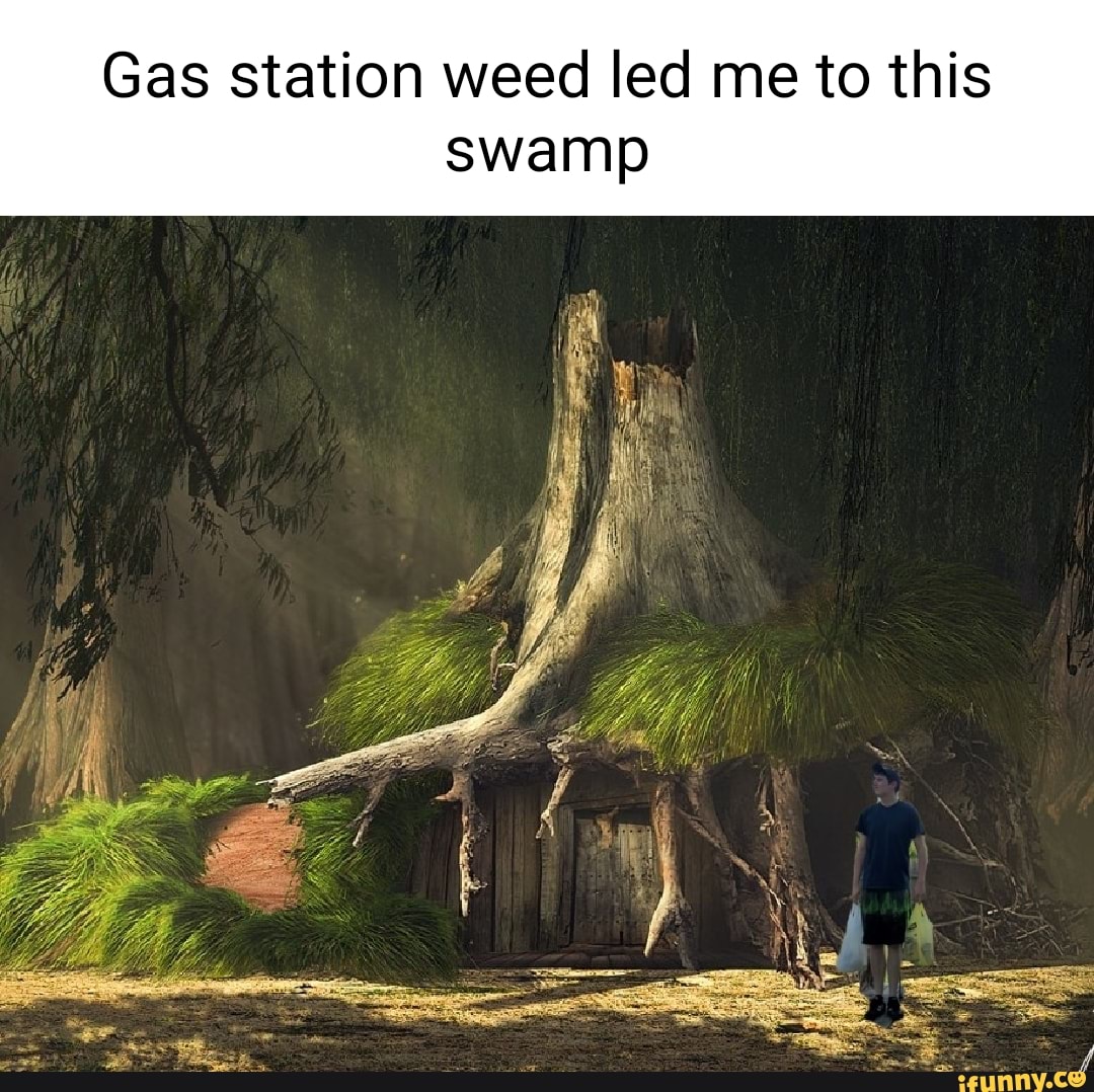 Gas station weed led me to this swamp - iFunny
