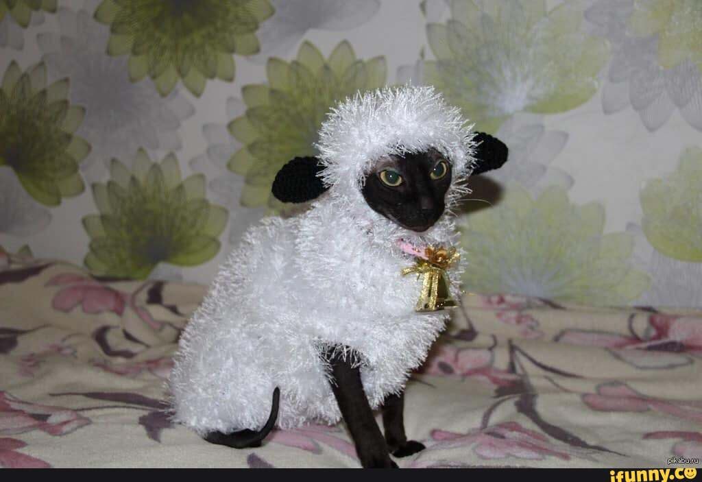 The Netflix "Shaun the Sheep" series is looking good - iFunny