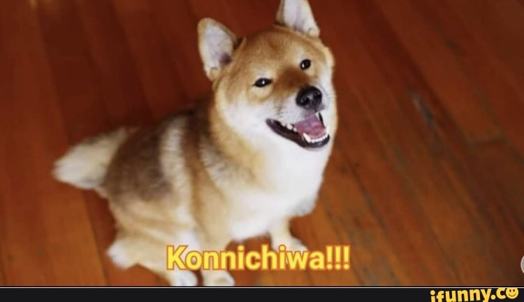 Fixeddog memes. Best Collection of funny Fixeddog pictures on iFunny