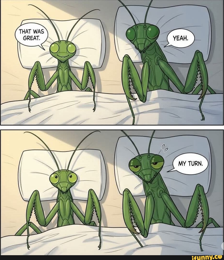 Insect memes. Best Collection of funny Insect pictures on iFunny