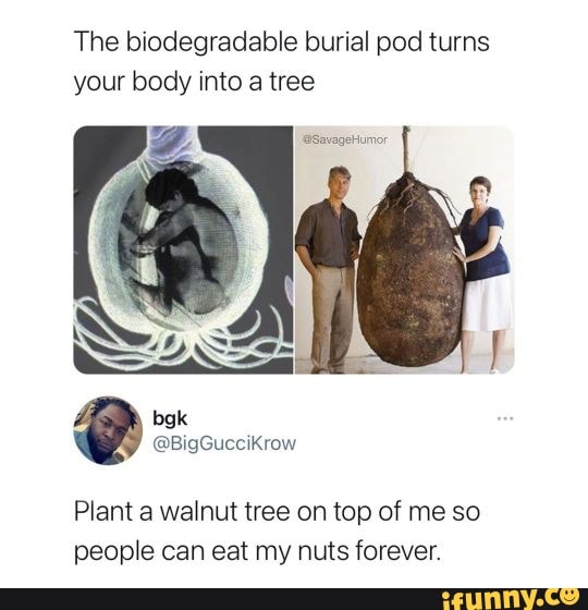 The biodegradable burial pod turns your body into a tree ISS Plant a ...