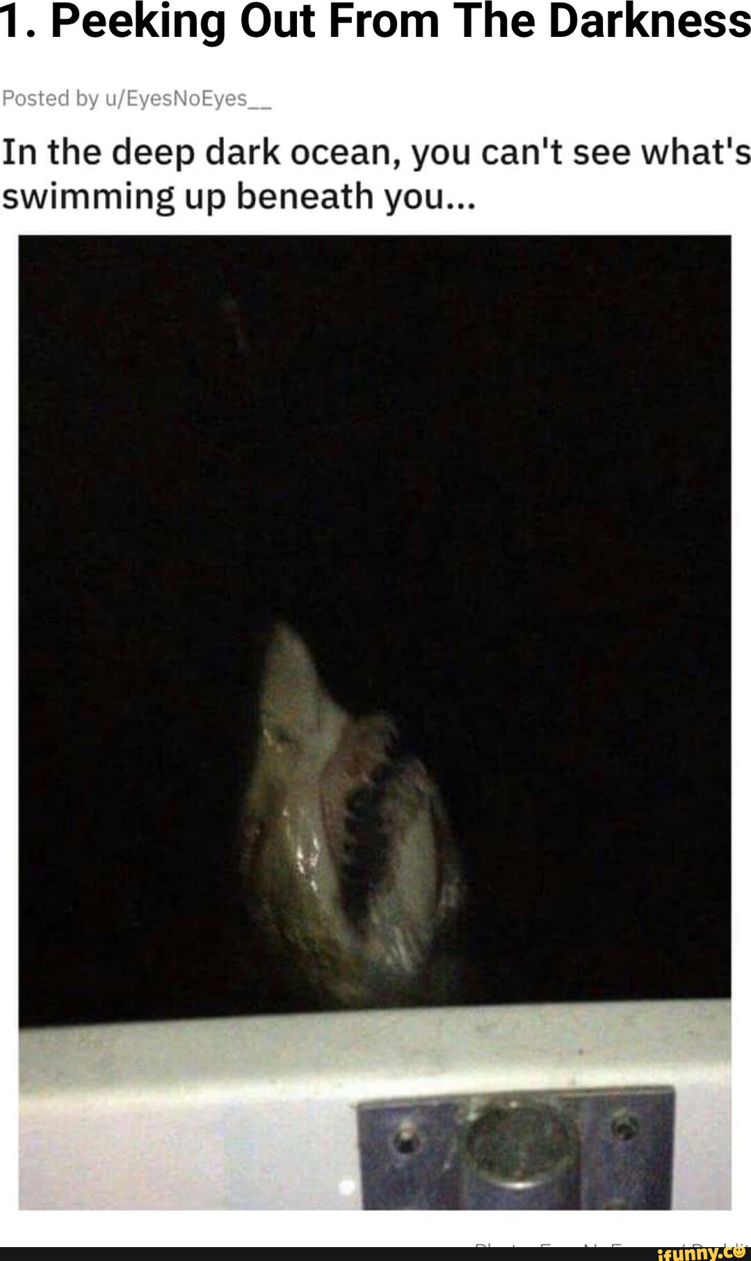 . Peeking Out From The Darkness Posted by In the deep dark ocean, you ...