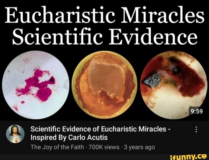 Acutis memes. Best Collection of funny Acutis pictures on iFunny