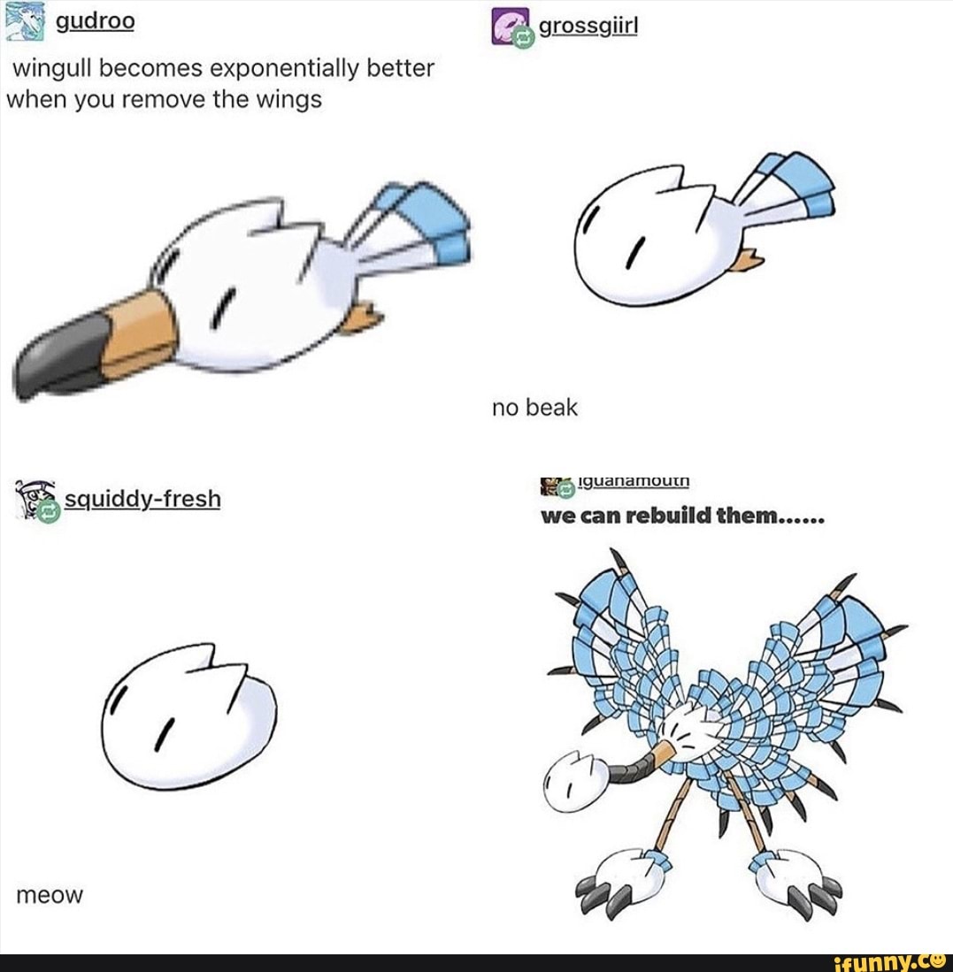 Wingull becomes exponentially better when you remove the wings no beak ...