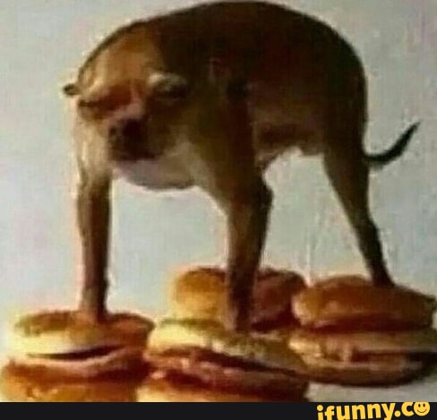 Zooted memes. Best Collection of funny Zooted pictures on iFunny