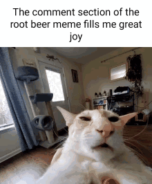 The comment section of the root beer meme fills me great - iFunny