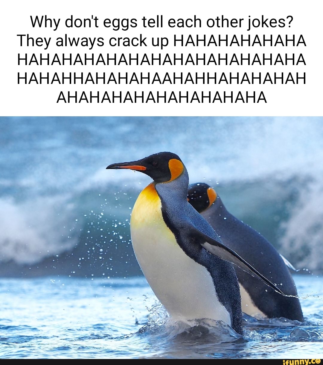 Hahahahahahahahahahahahaha memes. Best Collection of funny ...