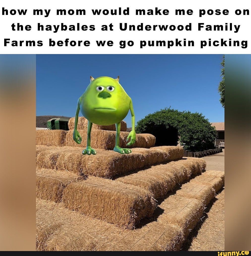 Haybales memes. Best Collection of funny Haybales pictures on iFunny