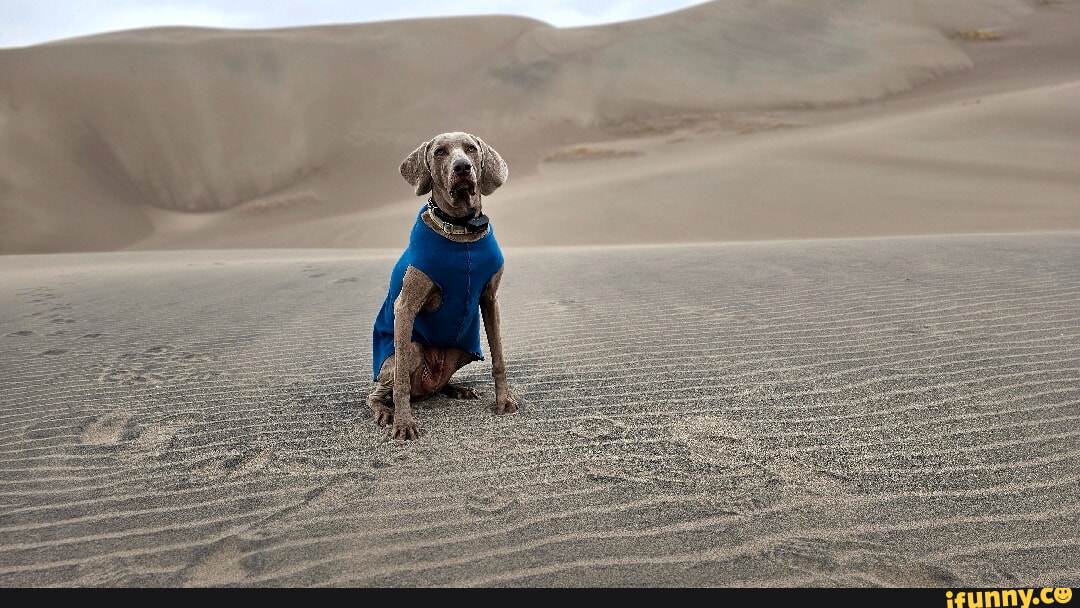 Sand memes. Best Collection of funny Sand pictures on iFunny