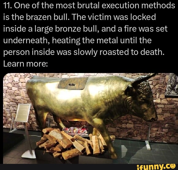 Video memes gasbzcNh9 by wildboyy420 - iFunny