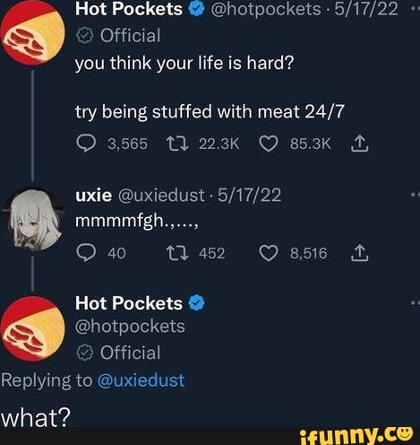 Hot Pockets @hotpockets Official you think your life is hard? try being ...