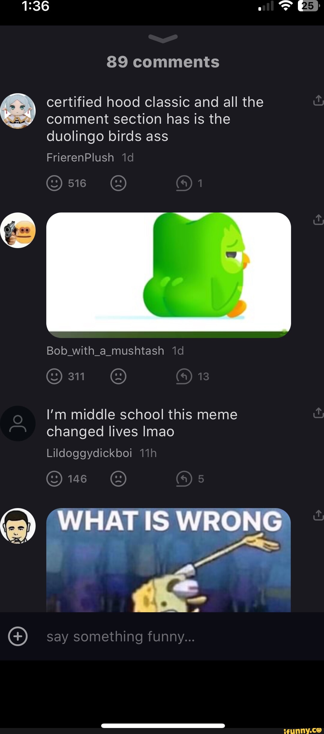 Duolingo memes. Best Collection of funny Duolingo pictures on iFunny
