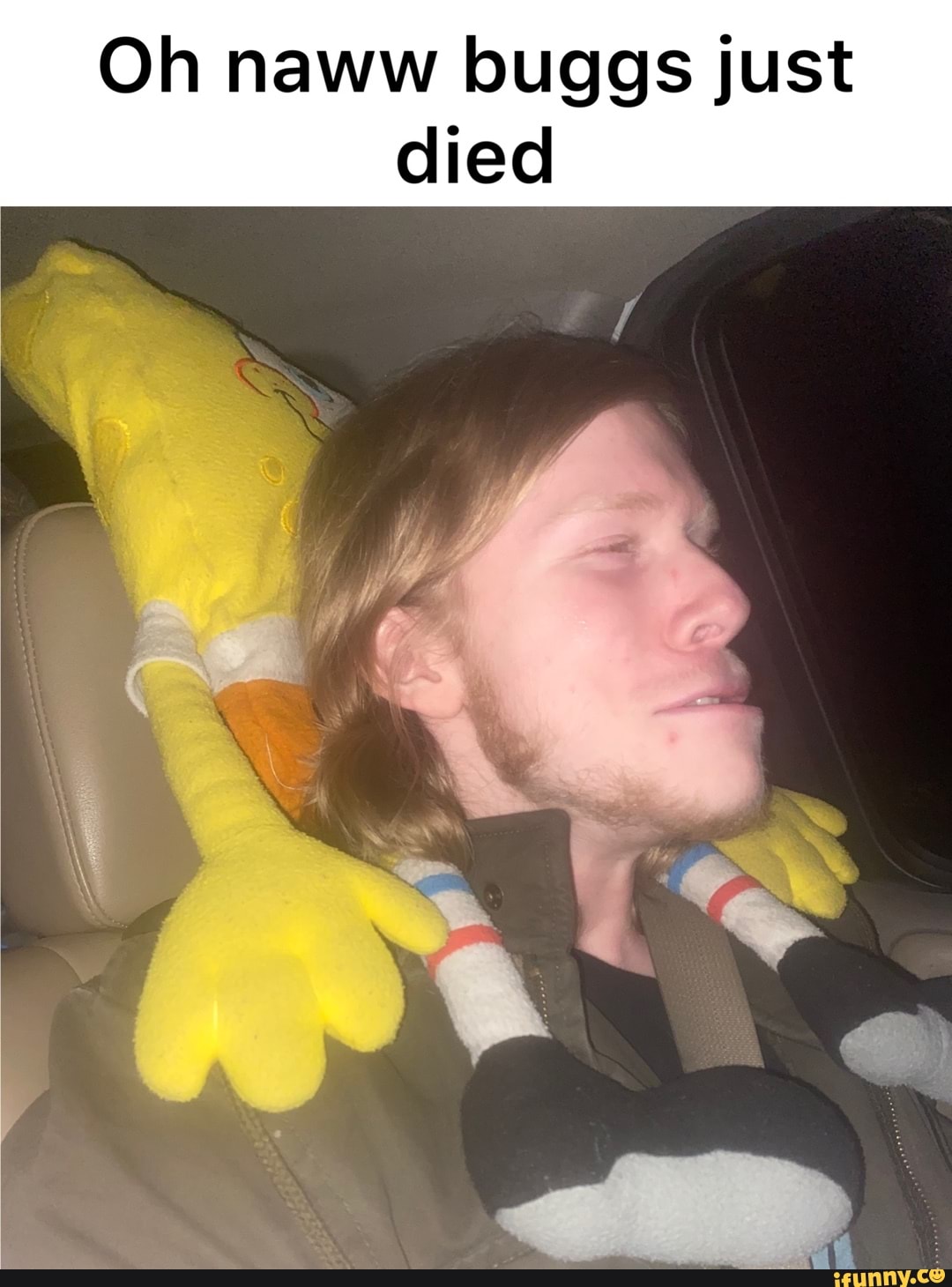 Buggs memes. Best Collection of funny Buggs pictures on iFunny