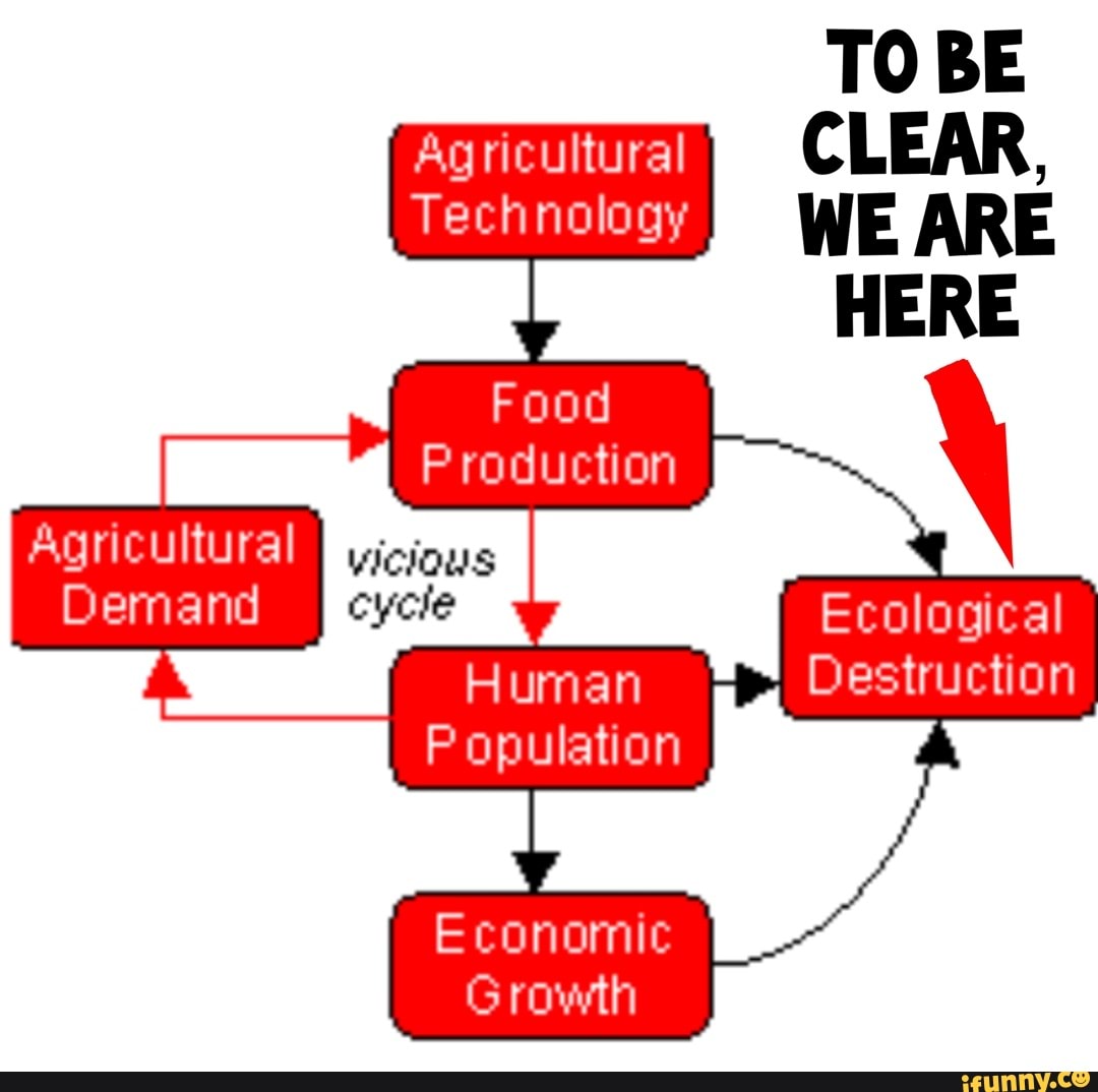 Growth memes. Best Collection of funny Growth pictures on iFunny