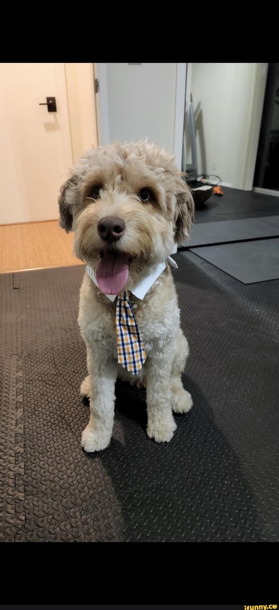 Bobba memes. Best Collection of funny Bobba pictures on iFunny