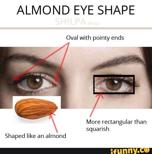 Rectangular memes. Best Collection of funny Rectangular pictures on iFunny