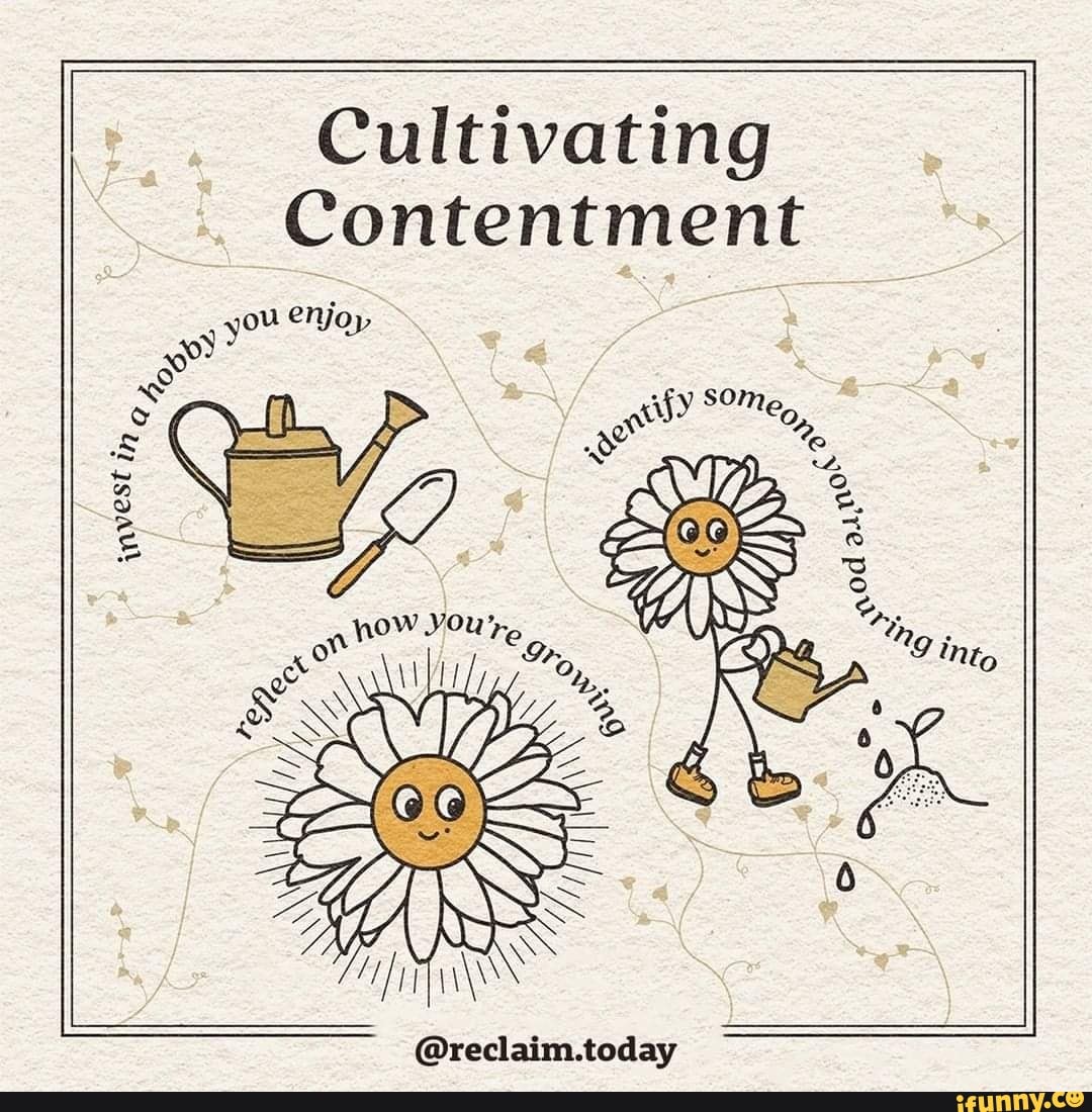 Contentment memes. Best Collection of funny Contentment pictures on iFunny