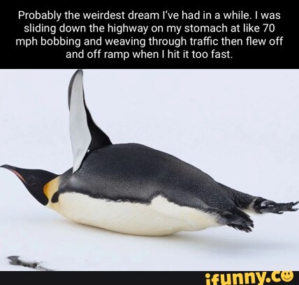 Weaving memes. Best Collection of funny Weaving pictures on iFunny