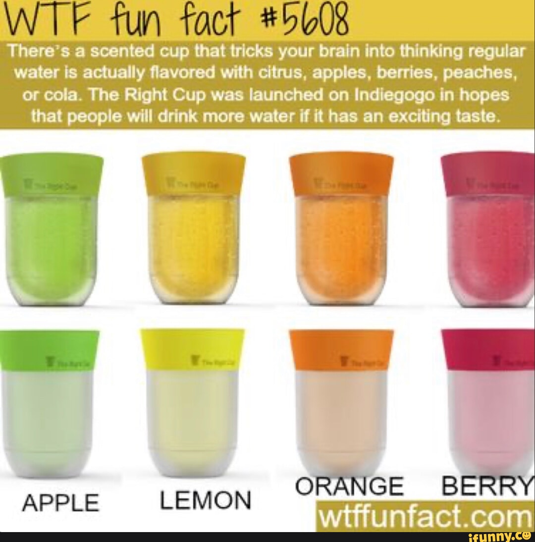 Bully: Says I have no life My Friend: - iFunny