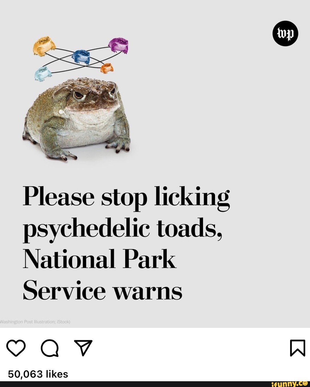 Toads memes. Best Collection of funny Toads pictures on iFunny