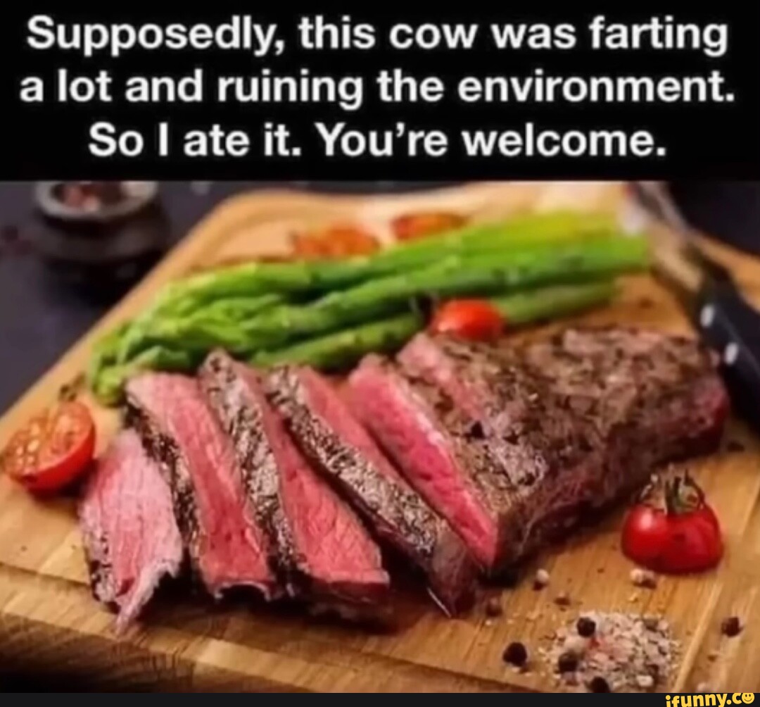 Supposedly, this cow was farting a lot and ruining the environment. So ...