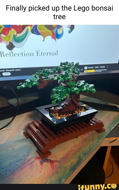 Bonsai memes. Best Collection of funny Bonsai pictures on iFunny