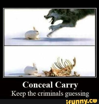 Conceal Carry Keep the criminals guessing - iFunny