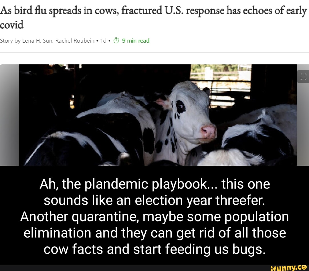 Playbook memes. Best Collection of funny Playbook pictures on iFunny