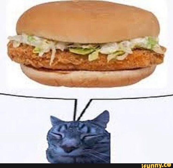 Yap memes. Best Collection of funny Yap pictures on iFunny