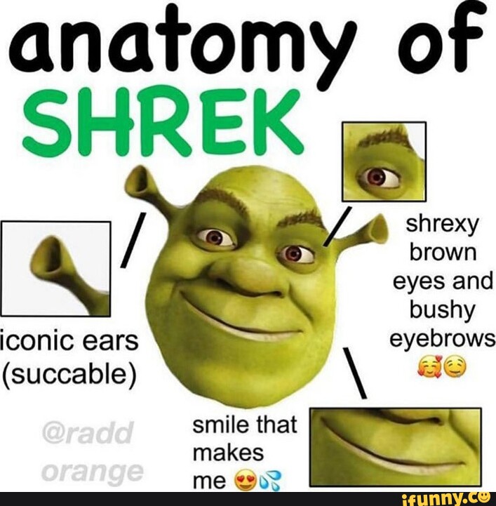 Anatomy of SHREK / shrexy brown eyes and bushy iconic ears eyebrows ...