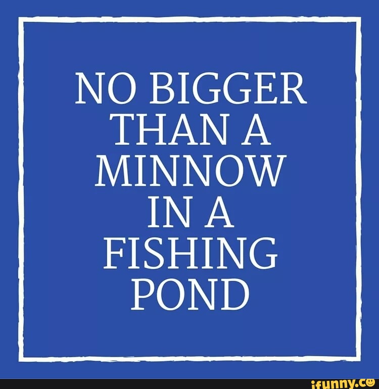 Minnow memes. Best Collection of funny Minnow pictures on iFunny