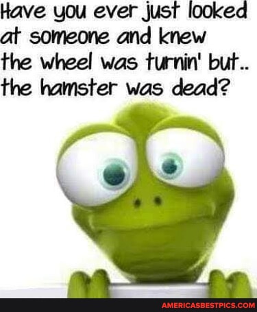 Have you ever just looked at someone and knew the wheel was turnin' but ...