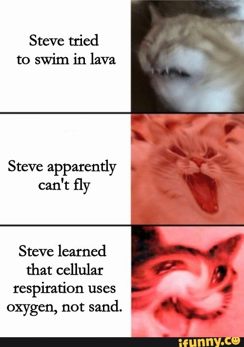 Steve apparently Steve learned that cellular respiration uses oxygen ...
