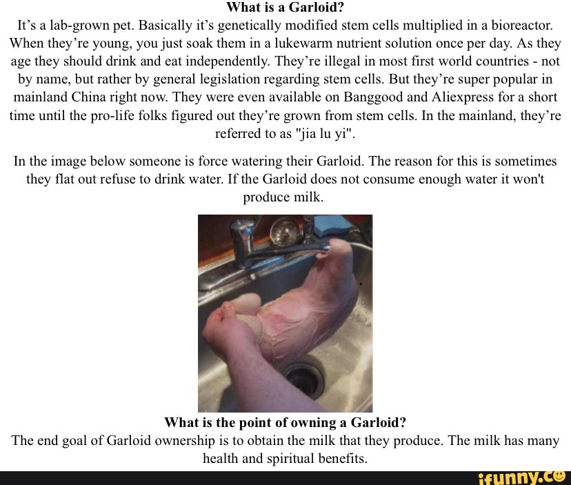 What is a Garloid? It's a lab-grown pet. Basically it's genetically ...