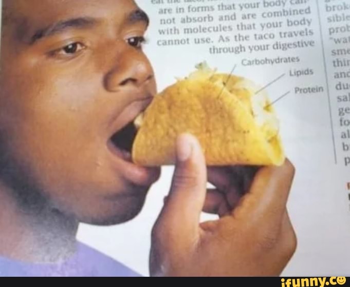 That your be combined ab ur body the taco travels through your ...