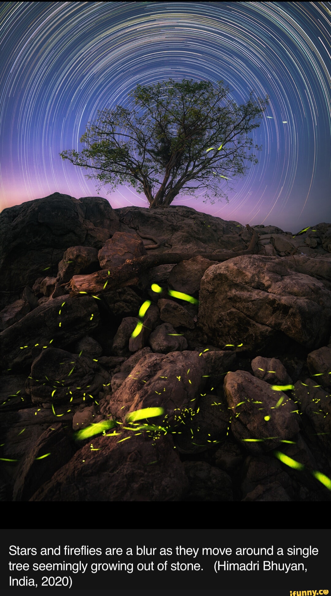 Fireflies memes. Best Collection of funny Fireflies pictures on iFunny