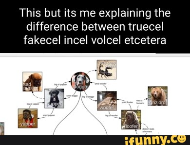 This but its me explaining the difference between truecel fakecel incel ...