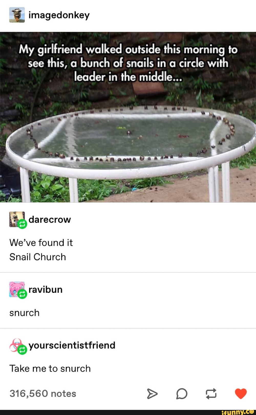 Snailchurch memes. Best Collection of funny Snailchurch pictures on iFunny